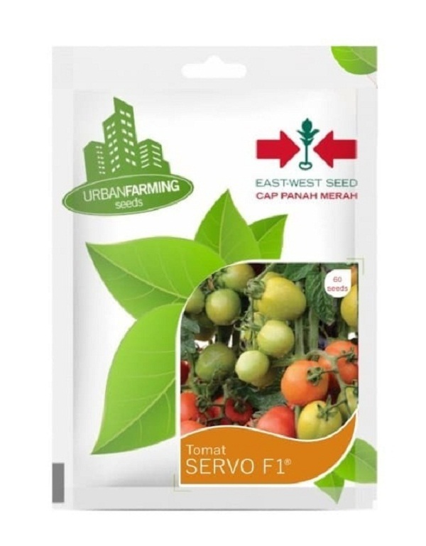 Benih Tomat Hibrida Servo F1 Kemasan 60 Biji Cap Panah Merah | Lazada ...
