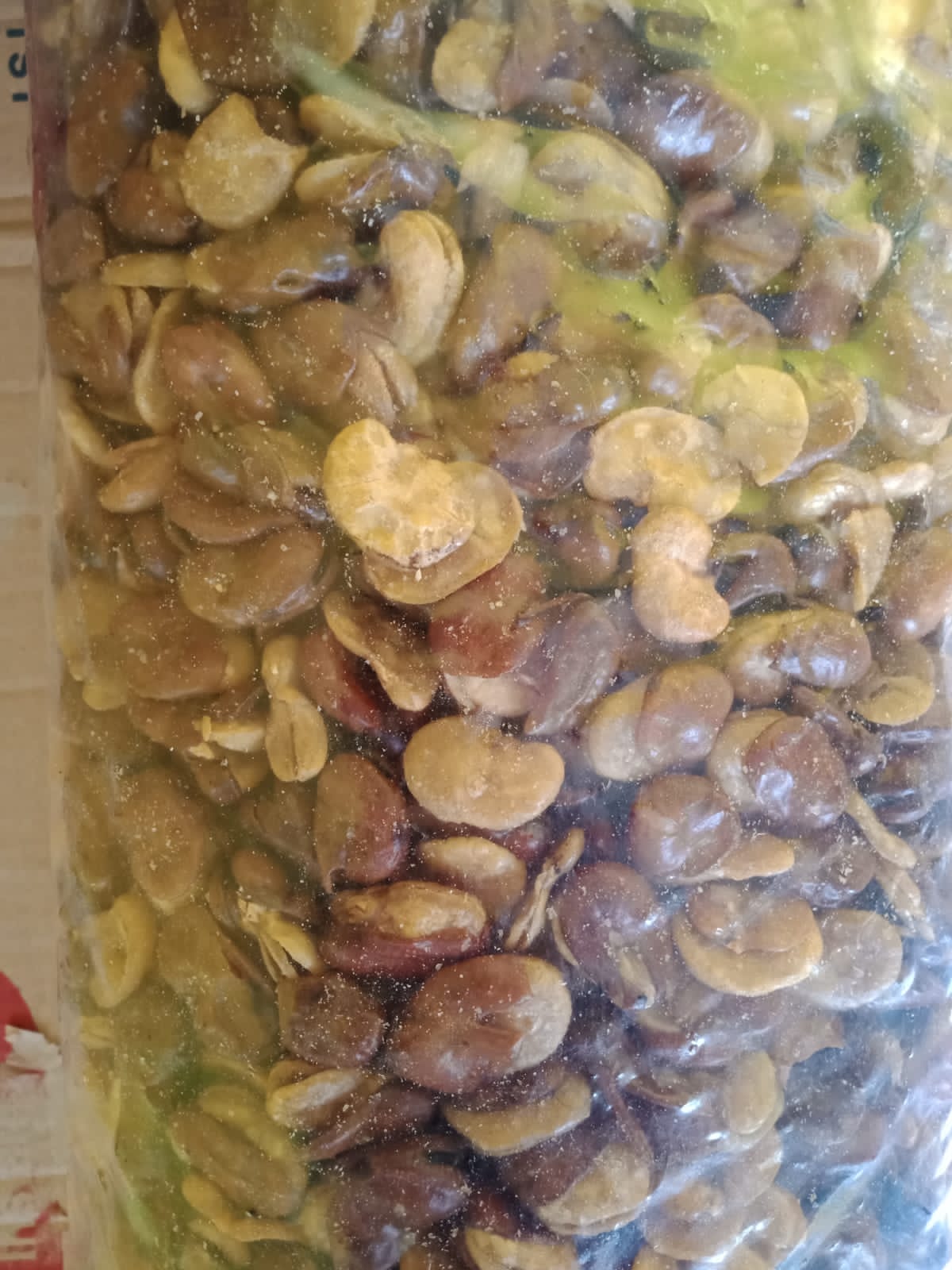 aneka cemilan kacang kacangan 1kg | Lazada Indonesia