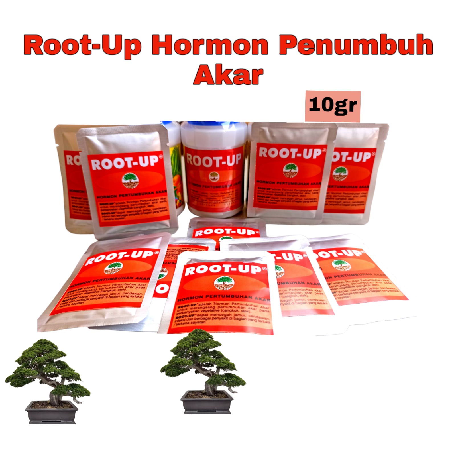 Root-Up/Rootup Perangsang Akar Setek/Cangkok (Repack 10gr) | Lazada ...