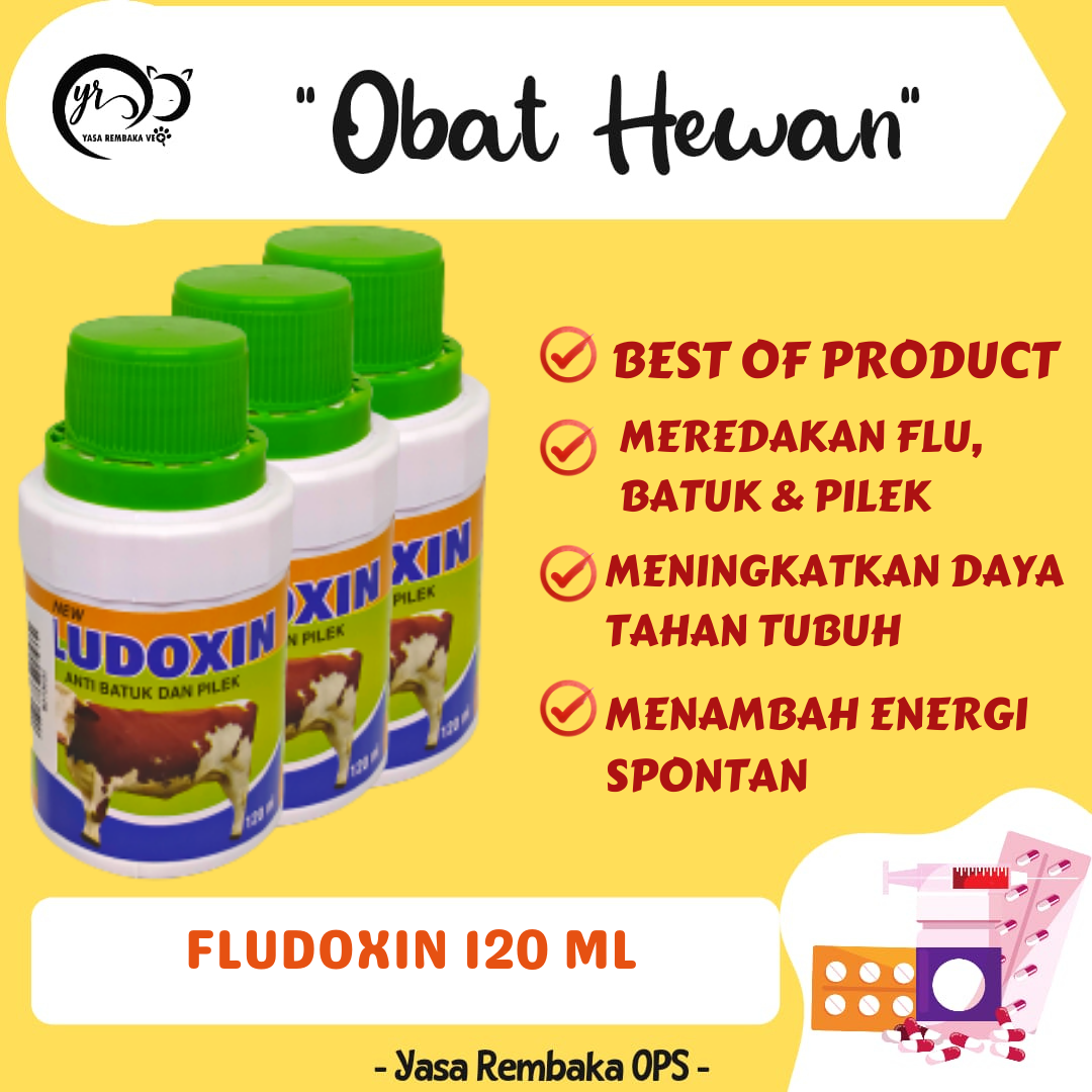 FLUDOXIN 120 ml- Obat Anti Batuk dan Pilek Untuk Sapi Kambing Domba ...