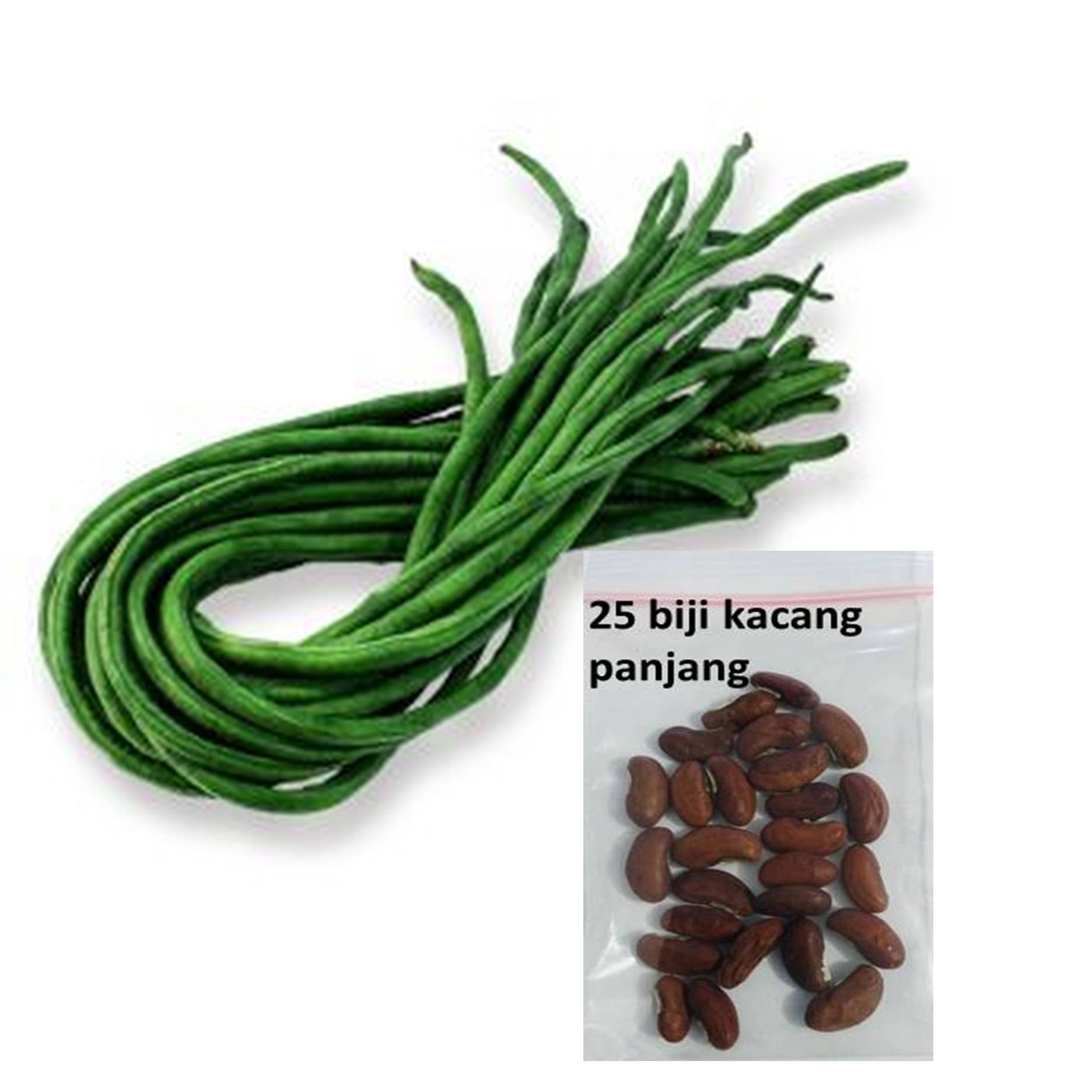 Benih atau Bibit Sayur Kacang Panjang Kualitas Baik 25 BIJI SUPER ...