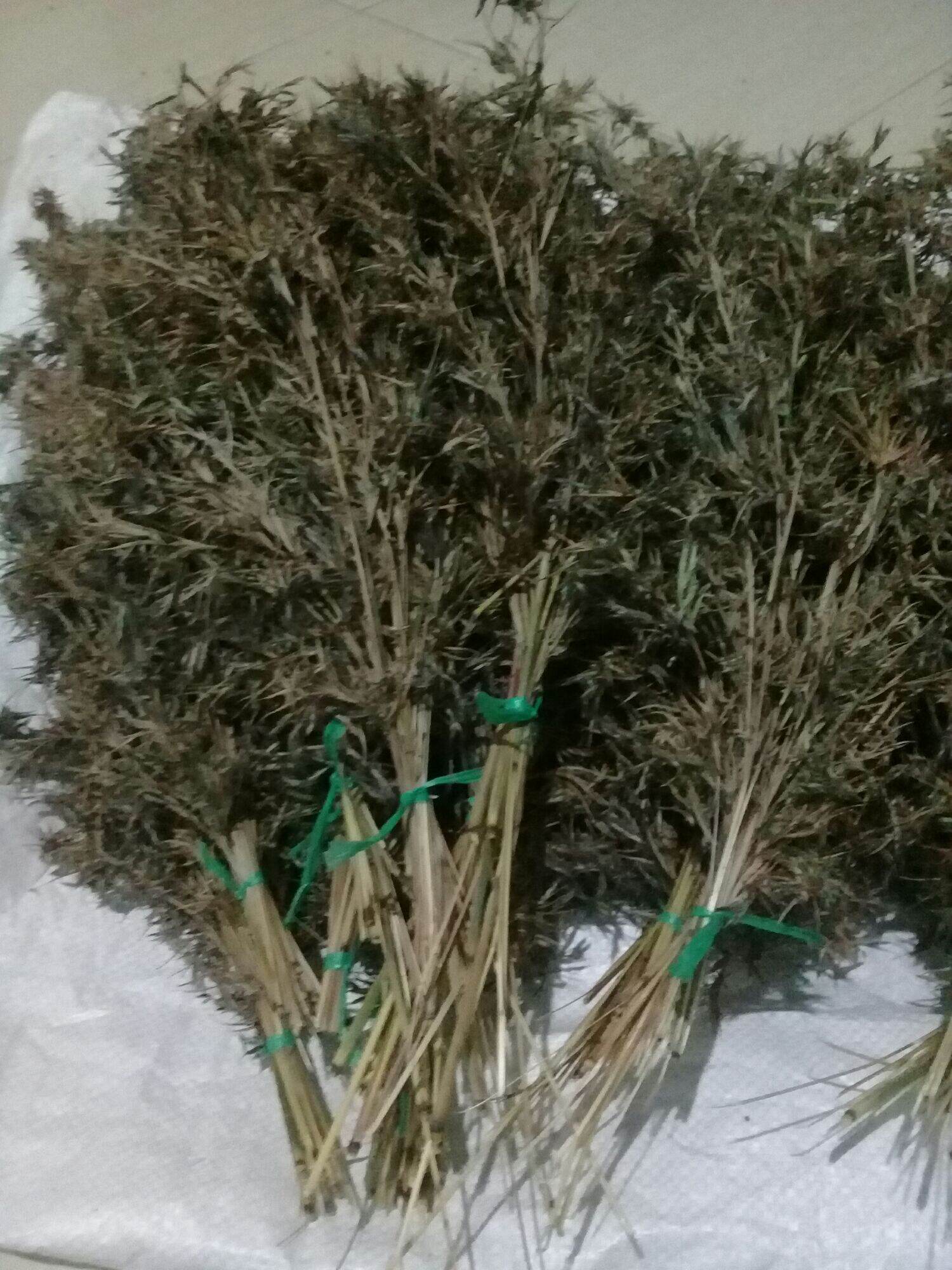 Bunga serai atau sereh 1 IKAT | Lazada Indonesia