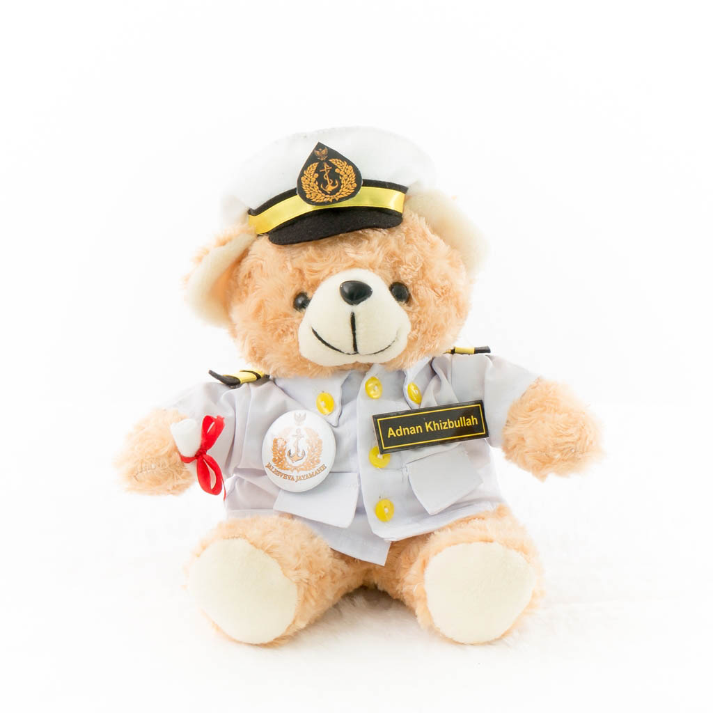 Boneka Teddy Bear Profesi Pilot | Lazada Indonesia