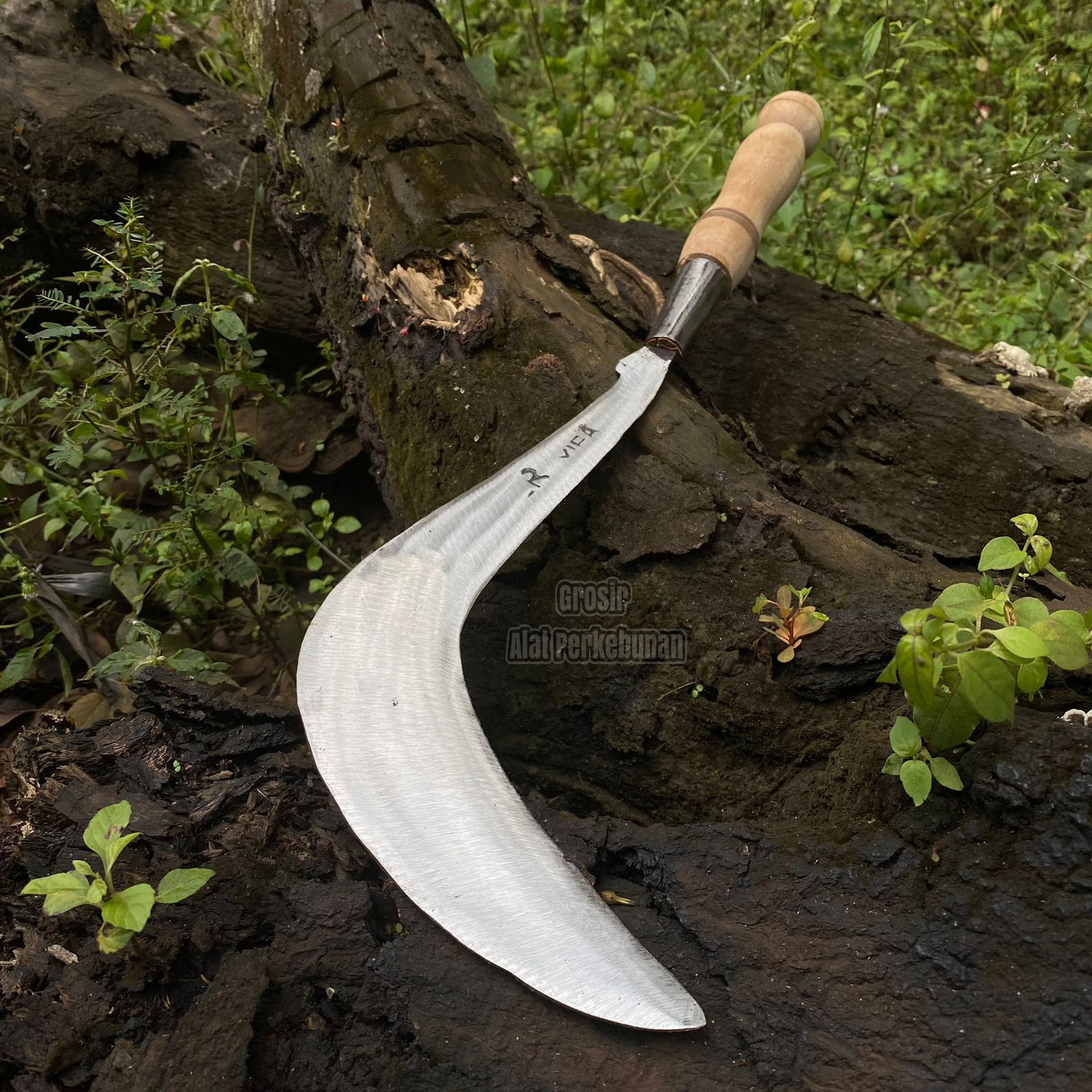 Sabit Jawa Super Tajam Siap Pakai - Arit Pengaritan Baja Asli Super Anti Gowang - Sabit Potong ...
