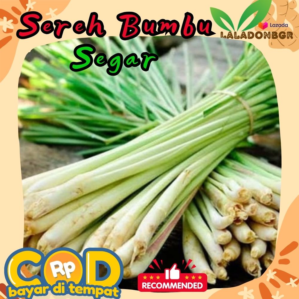 sereh segar 1kg sereh serai jumbo besar | Lazada Indonesia