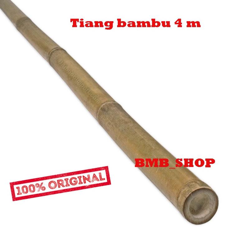 Terlaris Tongkat Tiang Bambu Serba Guna 4 Meter Polos Tanpa Cat Kuat ...