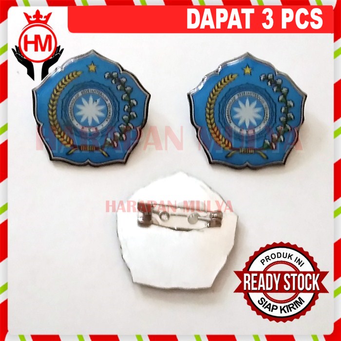 Pin Bros Logo PKK - Pin Bros Logo PKK Warna Biru Murah Lencana Logo PKK ...