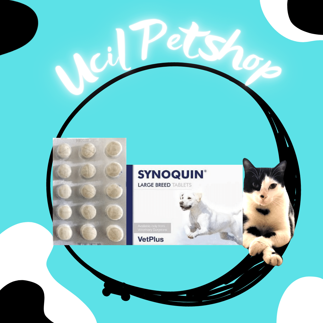 Synoquin Large Breed For Dogs 25kg Suplemen Tulang dan Sendi Anjing (1 ...