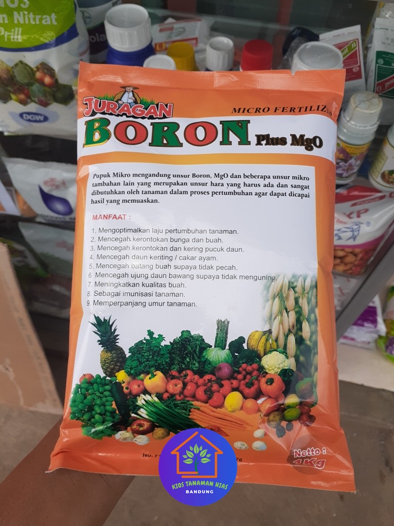 COD 1 Kg Pupuk Juragan Boron Plus Mgo Micro Pertilizer Original Pabrik ...