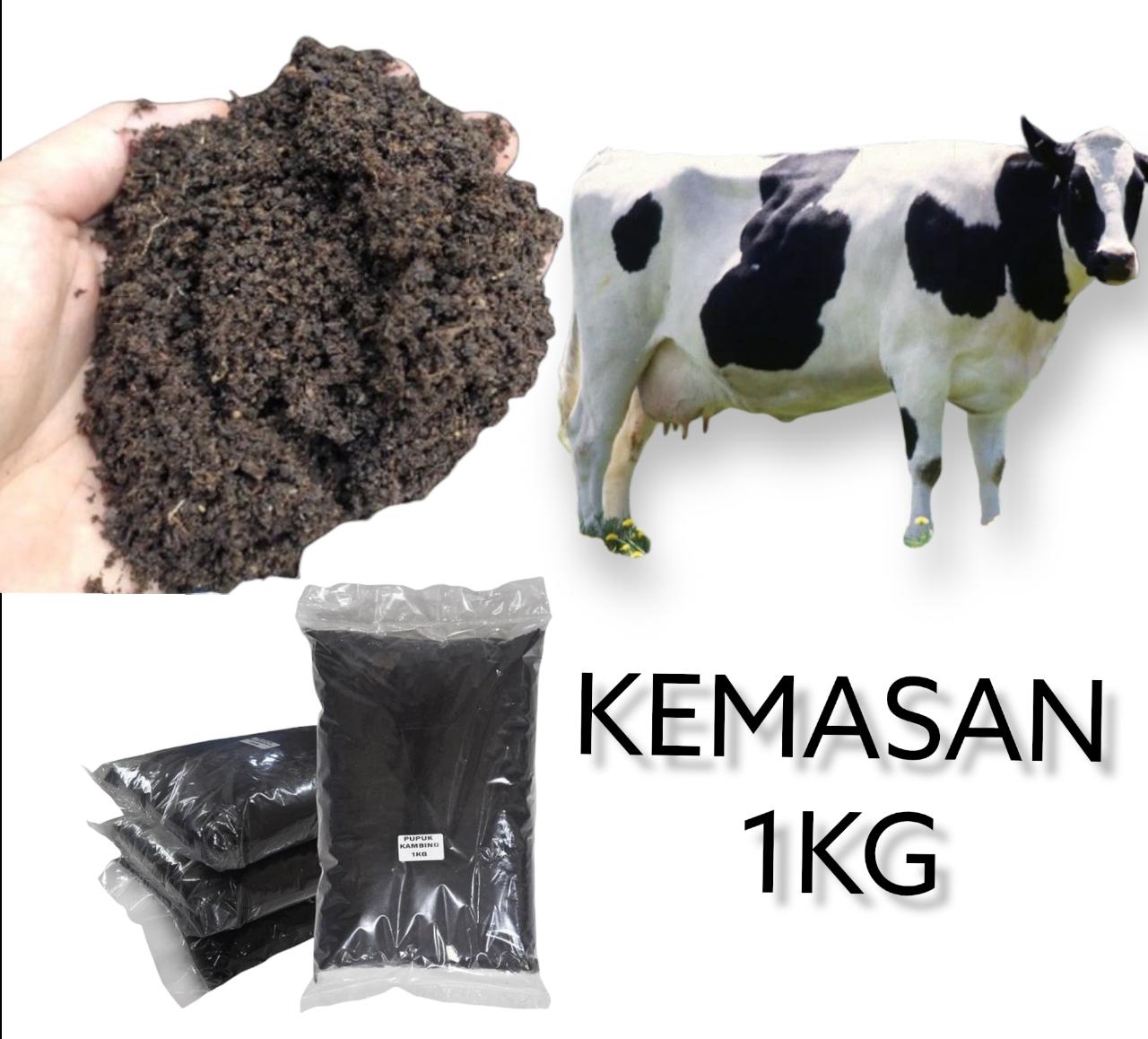 KOHE SAPI PERMENTASI SIAP PAKAI / PUPUK KANDANG KEMASAN 1KG | Lazada ...