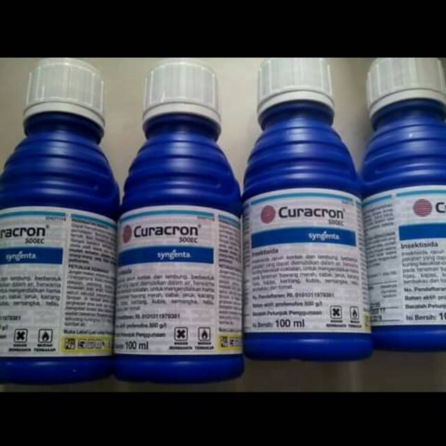 insektisida CURACRON 500EC 100ml dari SYNGENTA | Lazada Indonesia