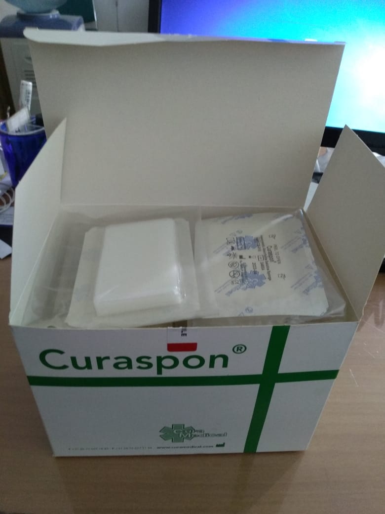 Curaspon® Standard Gelatine Sponge | Lazada Indonesia