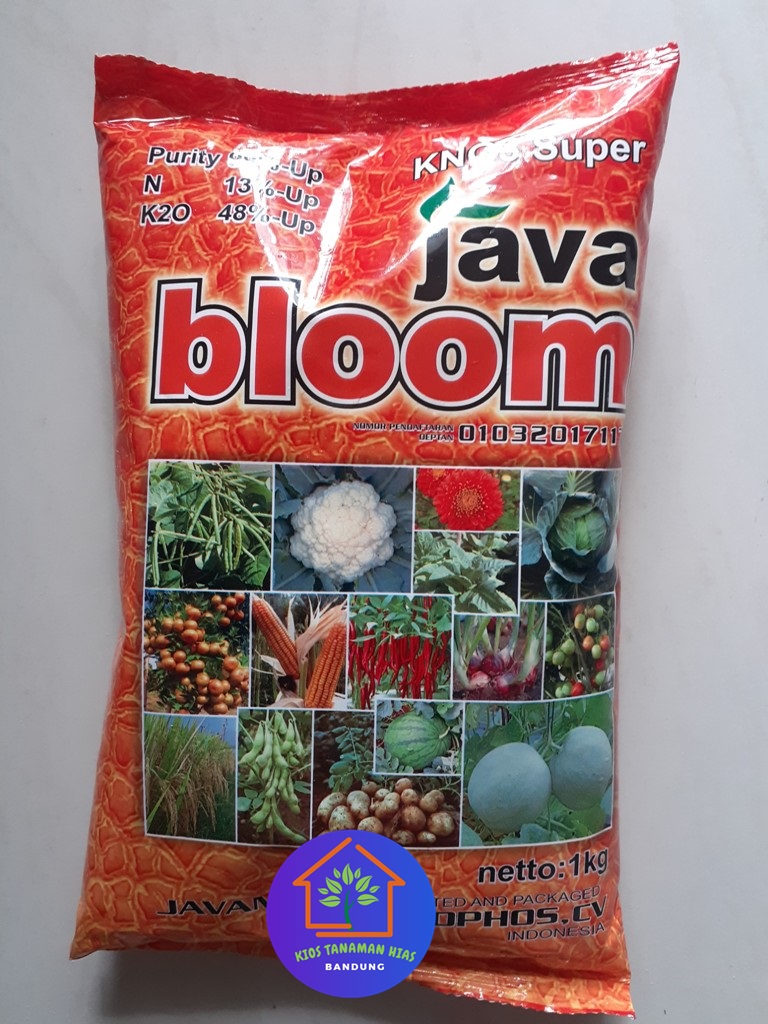 1 Kg Java Bloom KNO3 Super Pupuk Semprot Pembungaan Pembuahan Tanaman | Lazada Indonesia