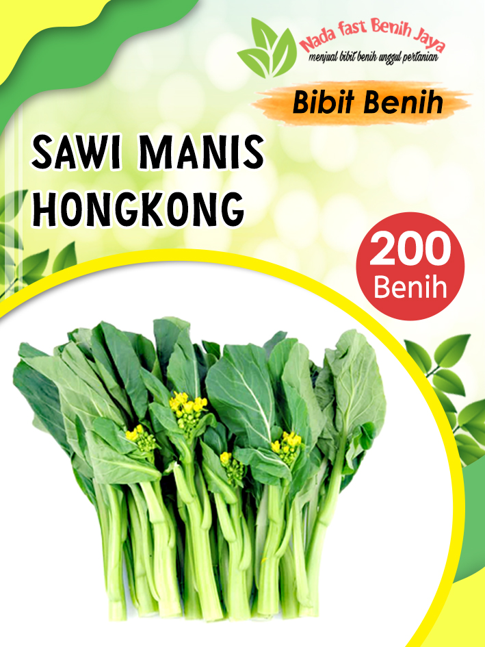 benih sawi hongkong - caisim manis hongkong Buy 1 Get 1 Free 50 Seeds ...