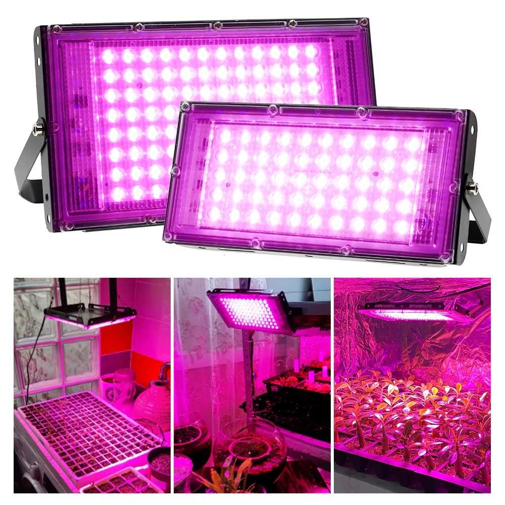 Lampu Pertumbuhan Tanaman LED Grow Light Lamp Hydroponic Plant Growth ...