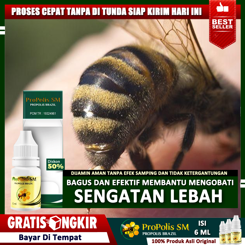 Obat Di Gigit Lebah - Di Sengat Lebah - Benjolan Di Sengat Lebah ...