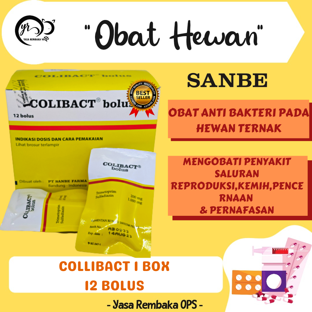 COLIBACT 1 Box (12 Bolus) - Obat Antibiotik Hewan Untuk Pencernaan ...