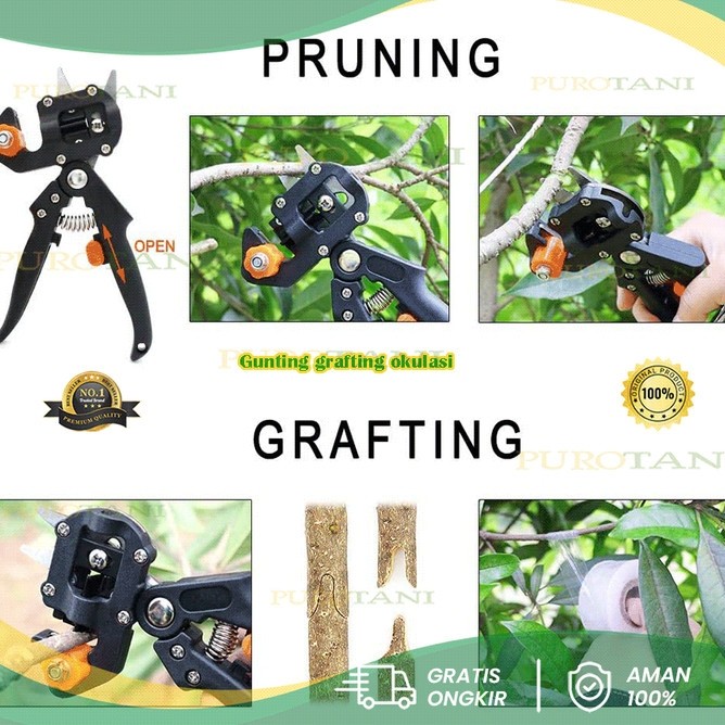 Gunting Stek Tanaman Grafting Tool | Lazada Indonesia