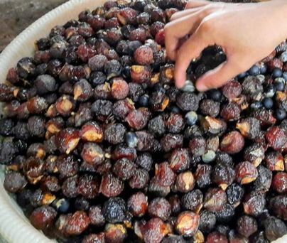 Buah Lerak Kelerak 500 gr Detergent Sabun Batik Eco Print Alami ...