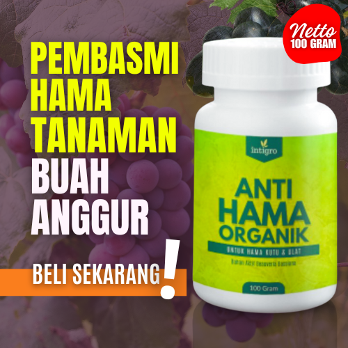 Pestisida Obat Pembasmi Hama Daun Anggur Insektisida Ulat Tanaman Buah ...