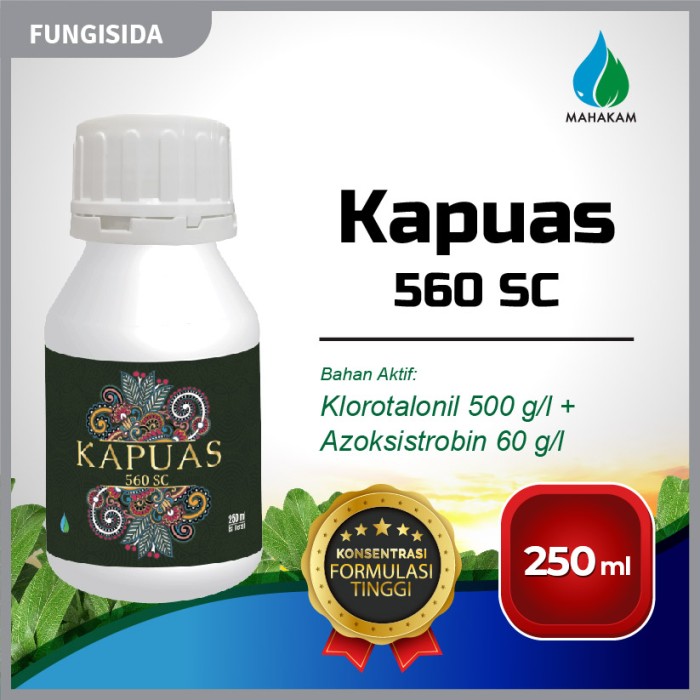 Kapuas 560 SC 250ml Fungisida Pestisida Pembasmi Hama Tanaman Kentang ...