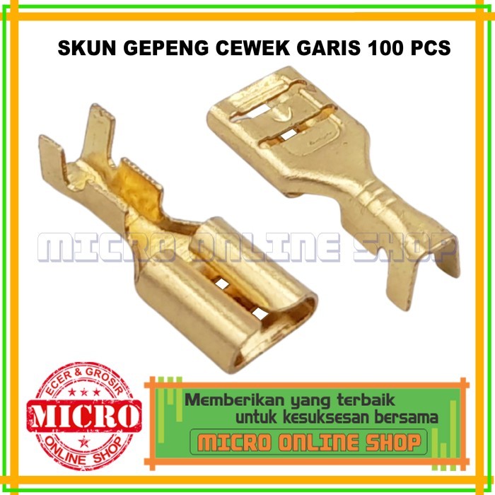 PAKET 100 PCS Skun Kabel Gepeng Cewek Garis Soket Kabel Motor Mobil ...