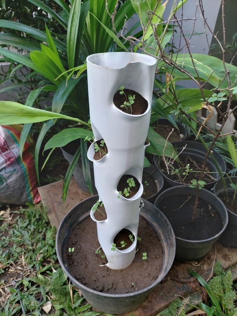 Perlengkapan taman Perlengkapan hidroponik Pot paralon Paralon ...