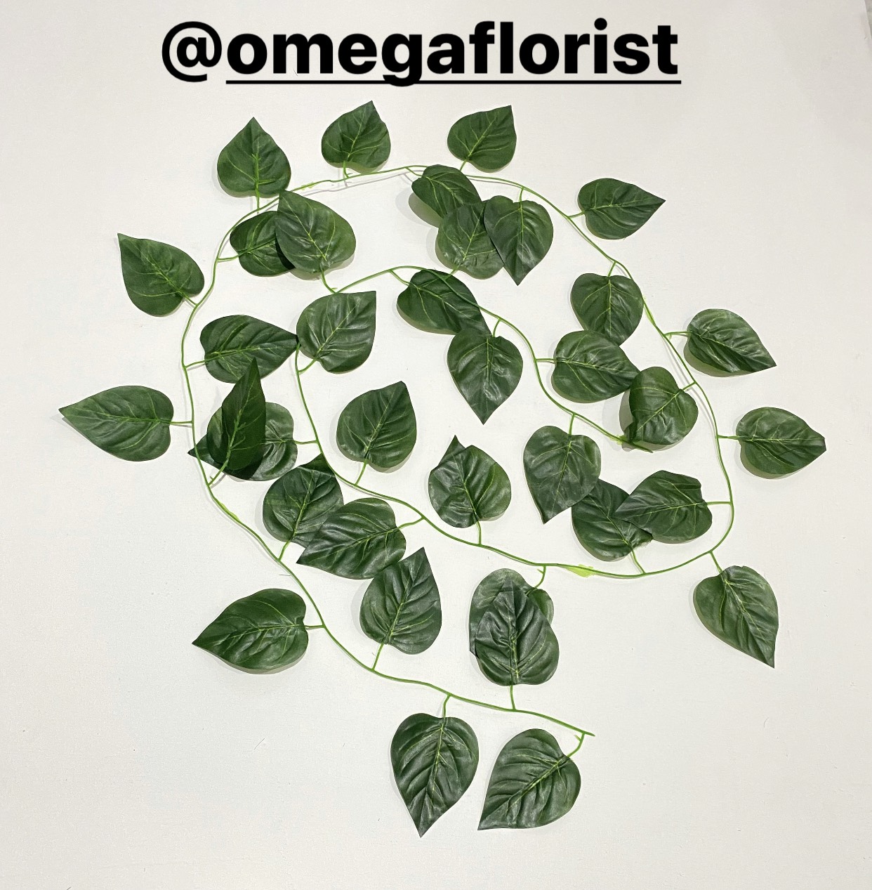 DAUN RAMBAT BESAR PANJANG -+ 120 CM, Harga Per Helai | Lazada Indonesia