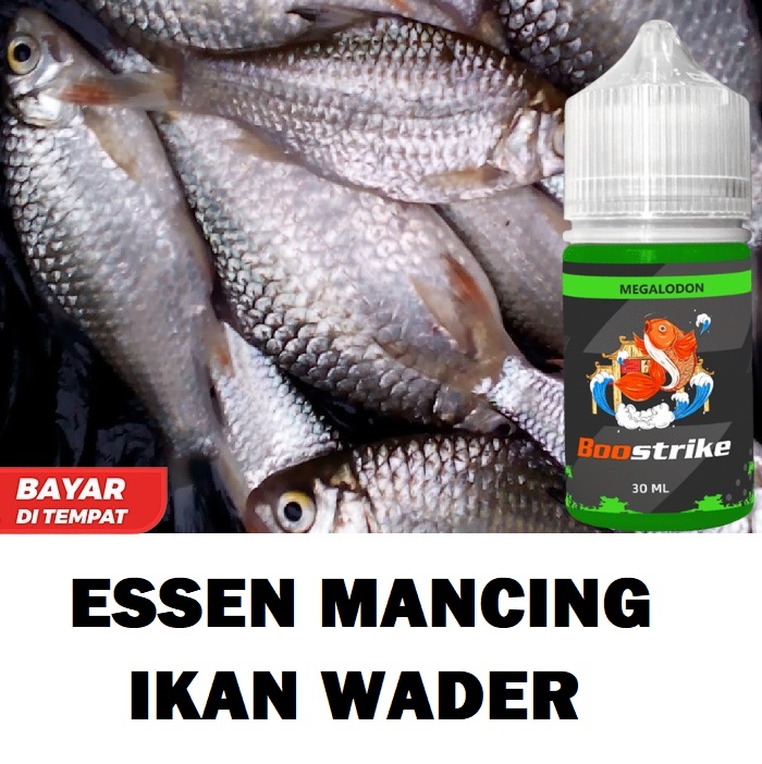 ESSEN BUAT MANCING IKAN WADER ISI 30ML | BOOSTRIKE MEGALODON | Lazada ...