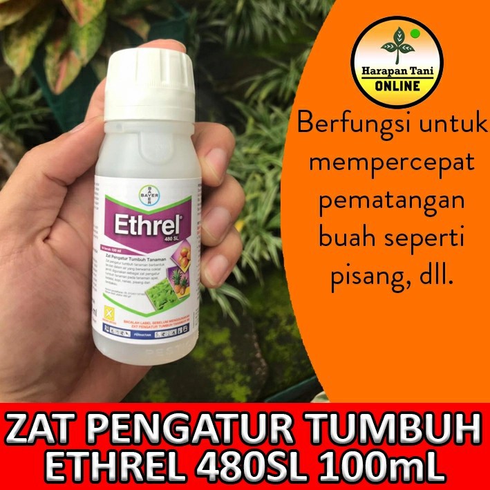 Ethrel 480SL 100mL | Etafon | Pematang buah Pisang, dll | Lazada Indonesia