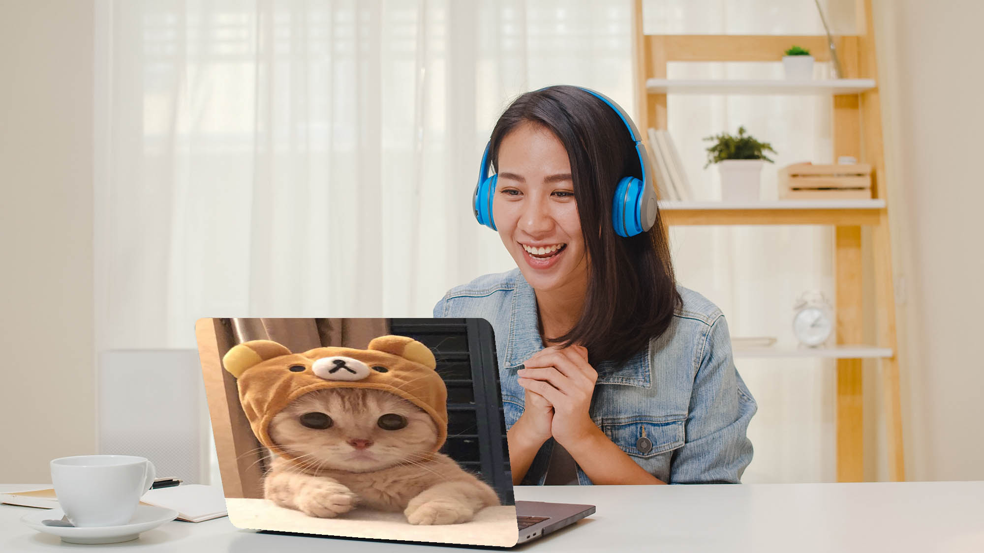 stiker laptop karakter Garskin skin laptop kucing bertopi | Lazada ...