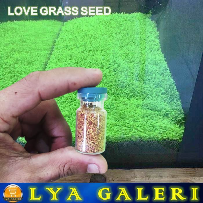 Biji Carpet Aquarium Love Grass Seed Botol 5ml | Lazada Indonesia