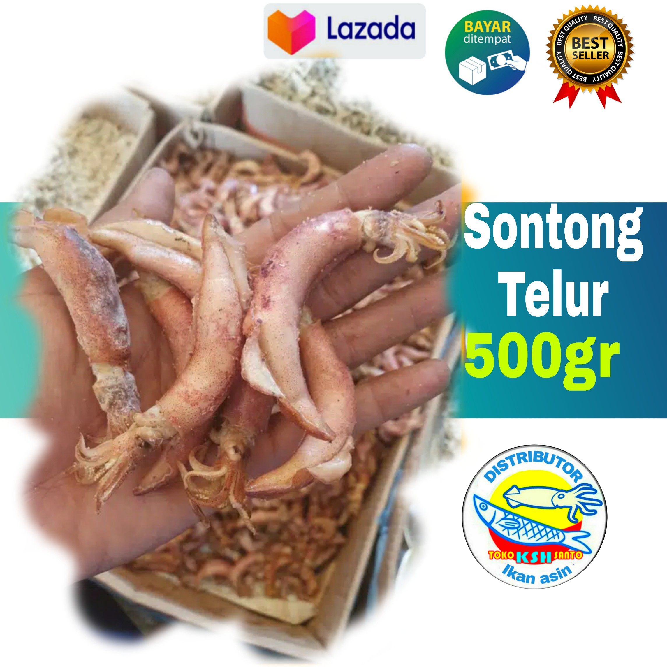 ikan asin.sontong telor kering-500gram | Lazada Indonesia