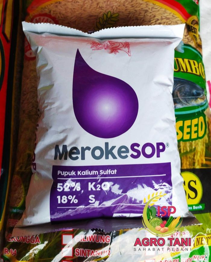 Pupuk Meroke SOP pupuk kalium sulpat 1kg | Lazada Indonesia