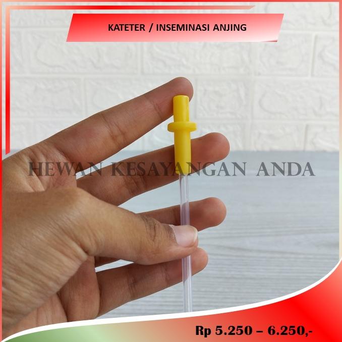 Kateter Inseminasi Anjing - Insemination Catheter | Lazada Indonesia