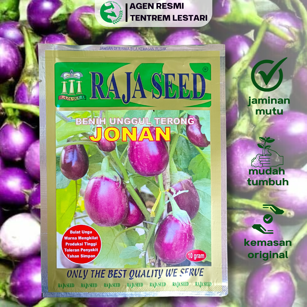 Benih Terong Bulat JONAN 10 gram Cap RAJA SEED Lebat & Unggul | Lazada ...