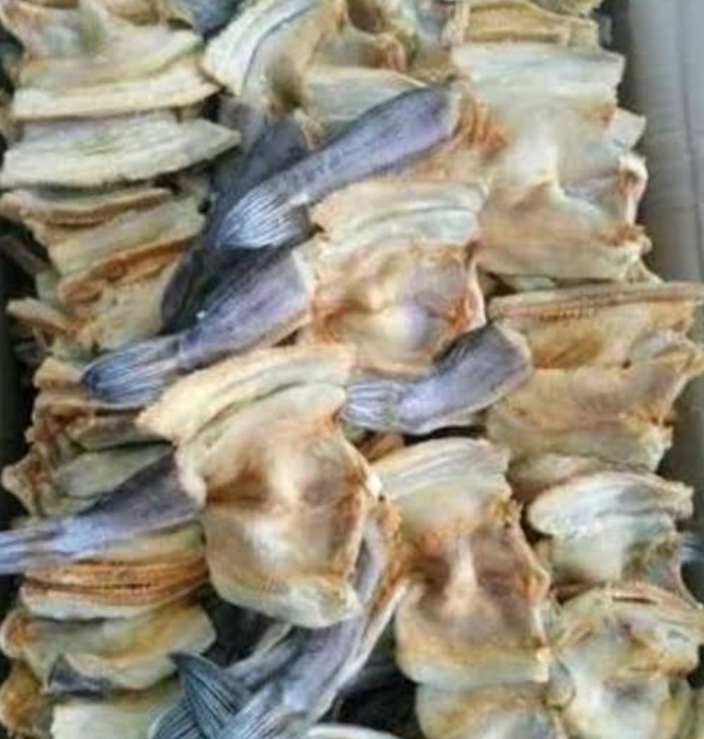ikan asin gabus siyem super | Lazada Indonesia ikan asin gabus siyem super | Lazada Indonesia