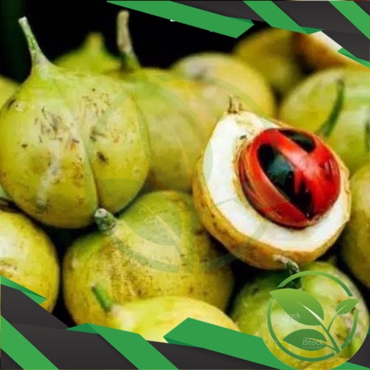 Buah pala tua utuh/500gram | Lazada Indonesia