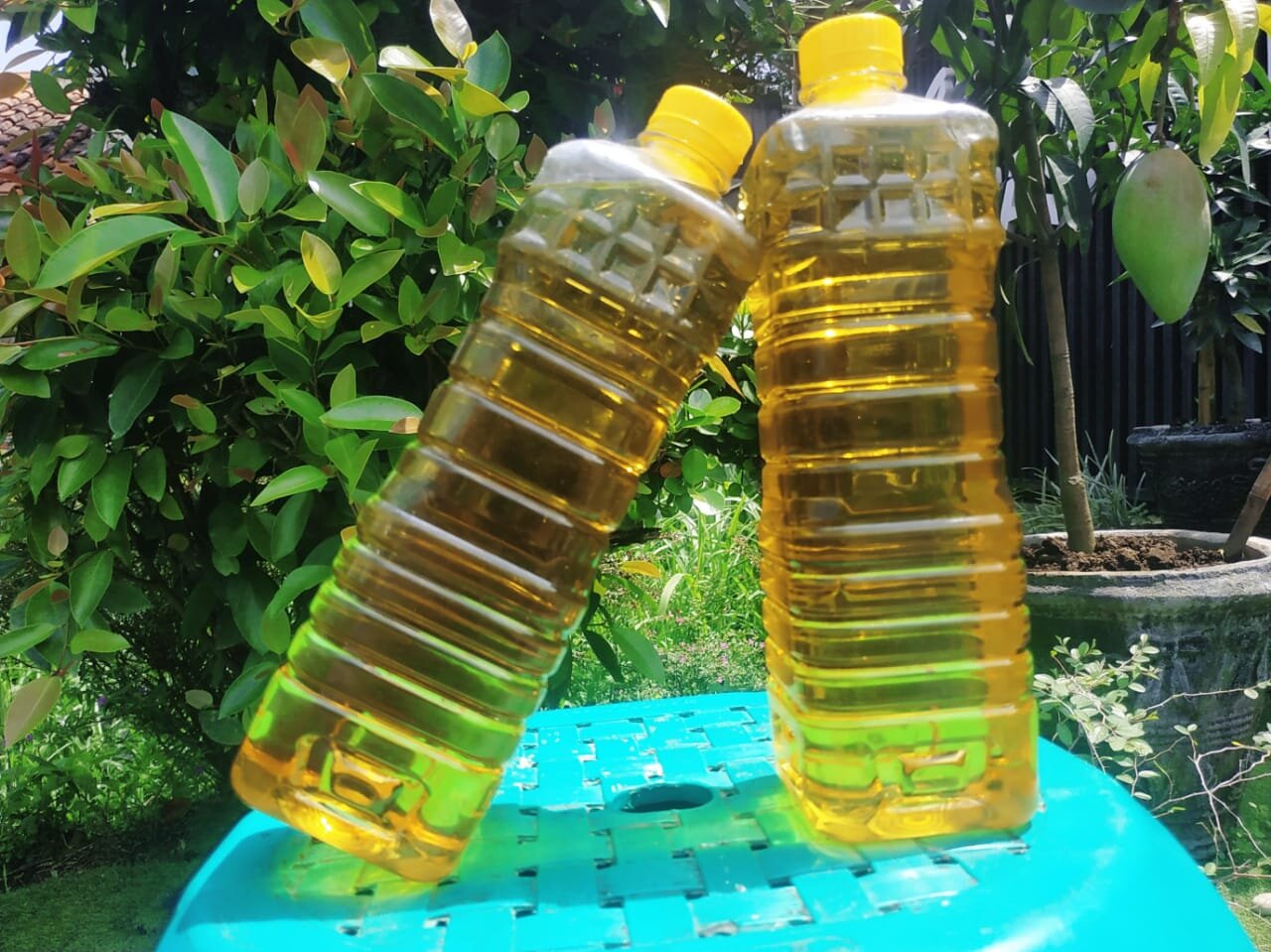 Minyak Goreng Curah CP 9 Kemasan 1 Liter/ Minyak Curah Premium | Lazada Indonesia