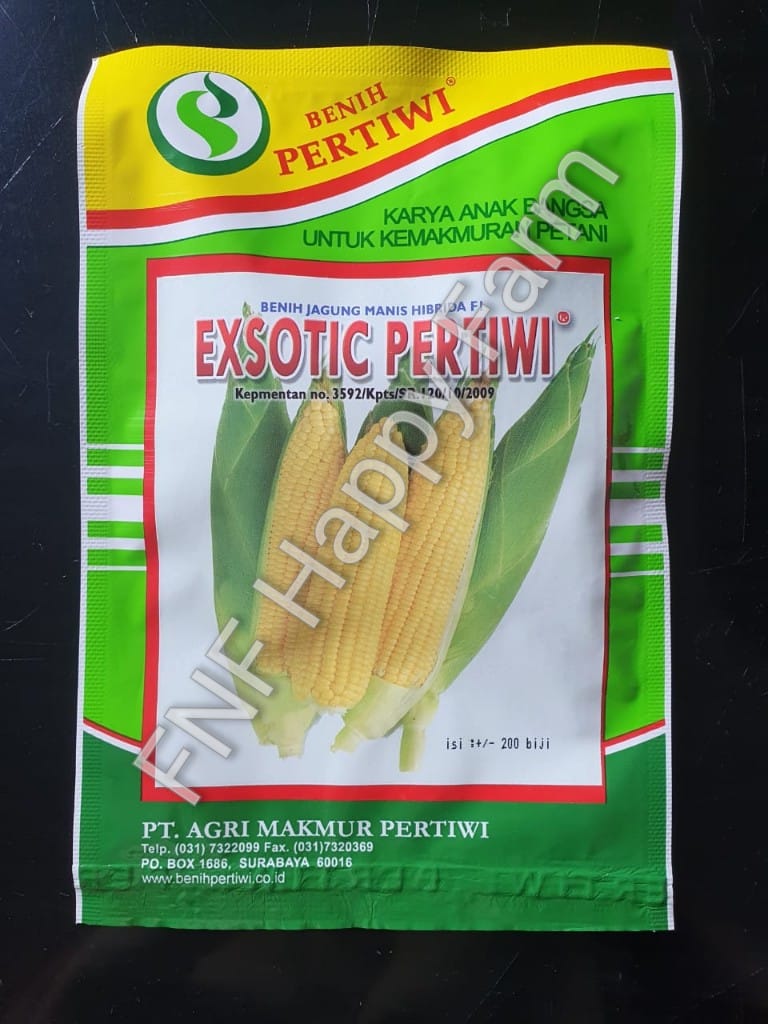 Benih Jagung Exsotic Pertiwi sachet isi 200 butir | Lazada Indonesia