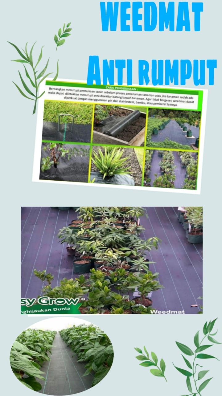 ECERAN PER METER WEEDMAT CONTROL ALAS KEBUN ANTI RUMPUT EASY GROW | Lazada Indonesia