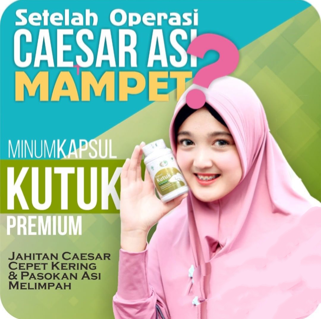 KAPSUL KUTUK Premium Asli Original Pil Ekstrak Ikan Gabus Albumin Obat ...