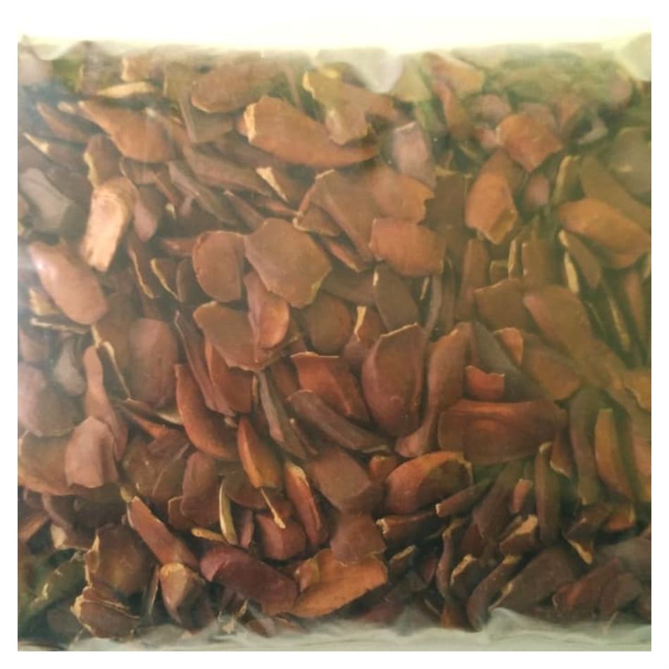 Bisa COD - Biji Buah Mahoni Kering 1kg | Lazada Indonesia