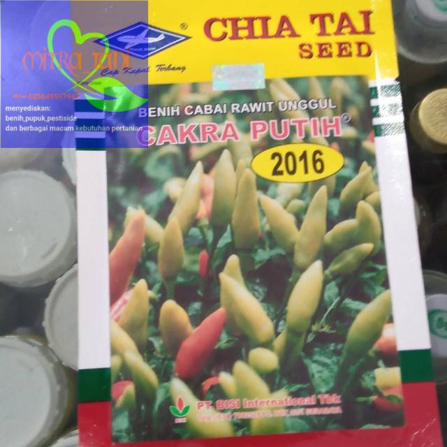 benih cabai rawit CAKRA PUTIH 2016 10gram dari CAP KAPAL TERBANG ...
