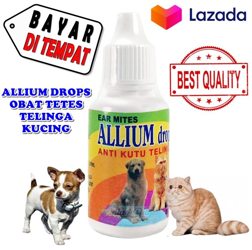 Obat Kucing Tetes Telinga Kuping Kucing Anjing Infeksi Bernanah Kutu ...