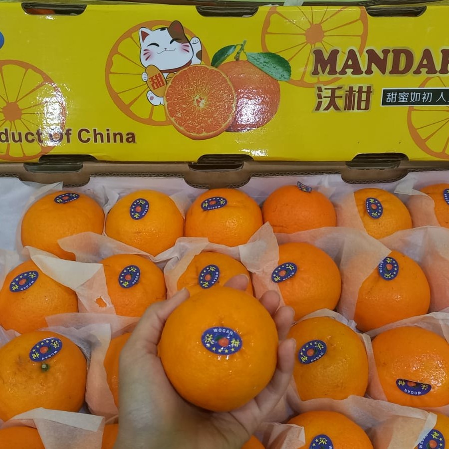 buah jeruk wogan mandarin premium, manis, 1 dus | Lazada Indonesia