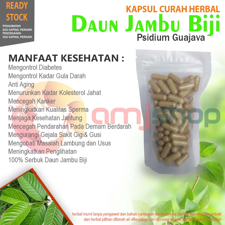 DAUN JAMBU BIJI Guava 50 Kapsul Curah Herbal Rambut Rontok Anti Aging ...