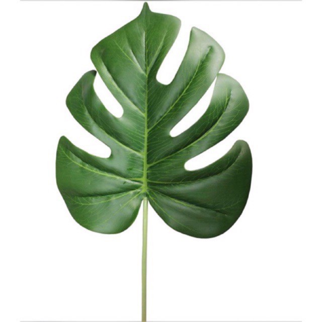 DAUN MONSTERA besar kecil 12 tangkai tanaman daun palsu gantung anggur ...