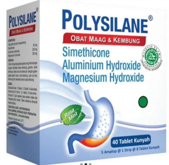 Polysilane Tablet 1 Strip 8 Tab Obat Sakit Maag Kunyah Polisilane | 1 ...