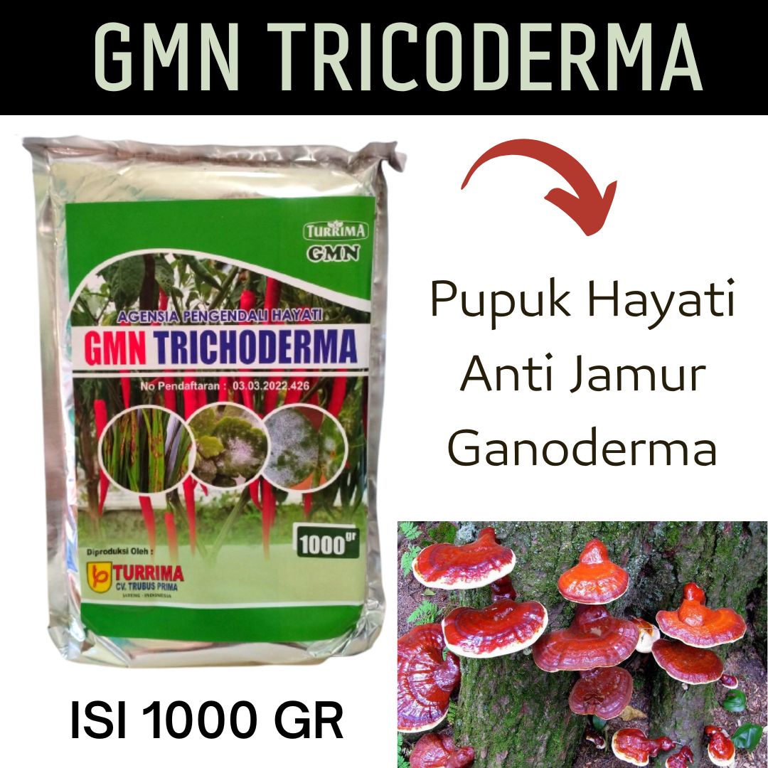Obat Jamur Sawit, Fungisida Hayati Tricoderma 1 Kg, Trichoderma Pupuk ...